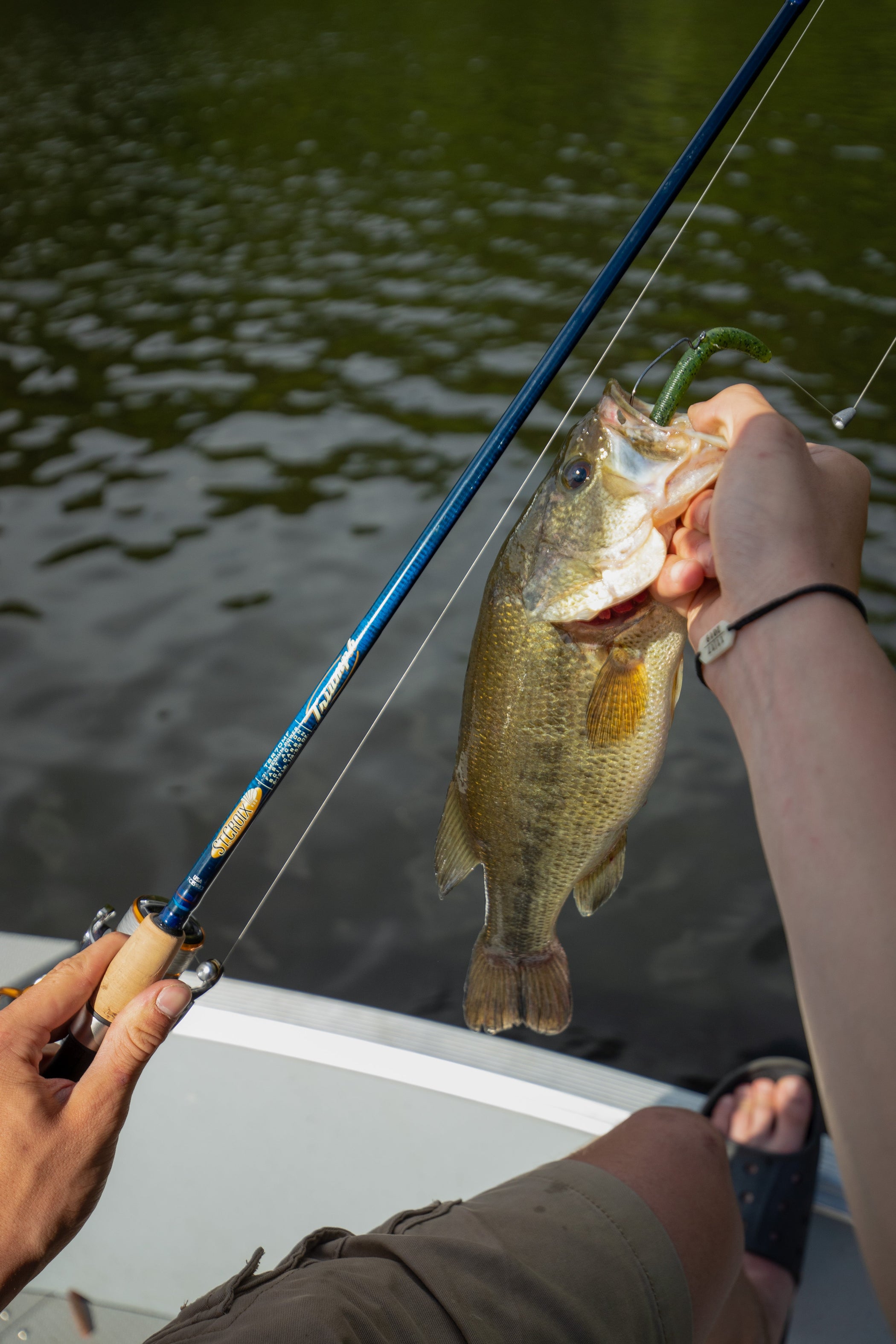 Triumph – St. Croix Rod