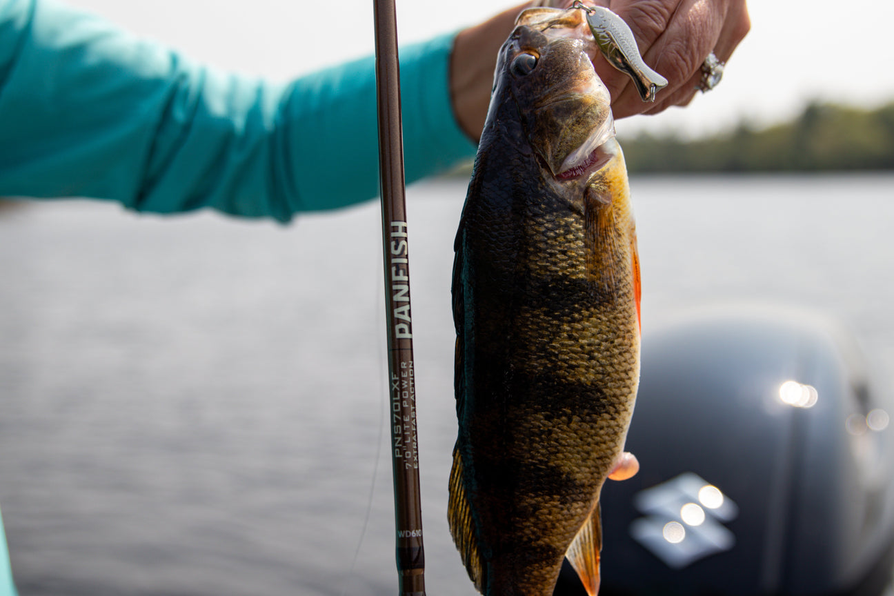 Panfish Series – St. Croix Rod