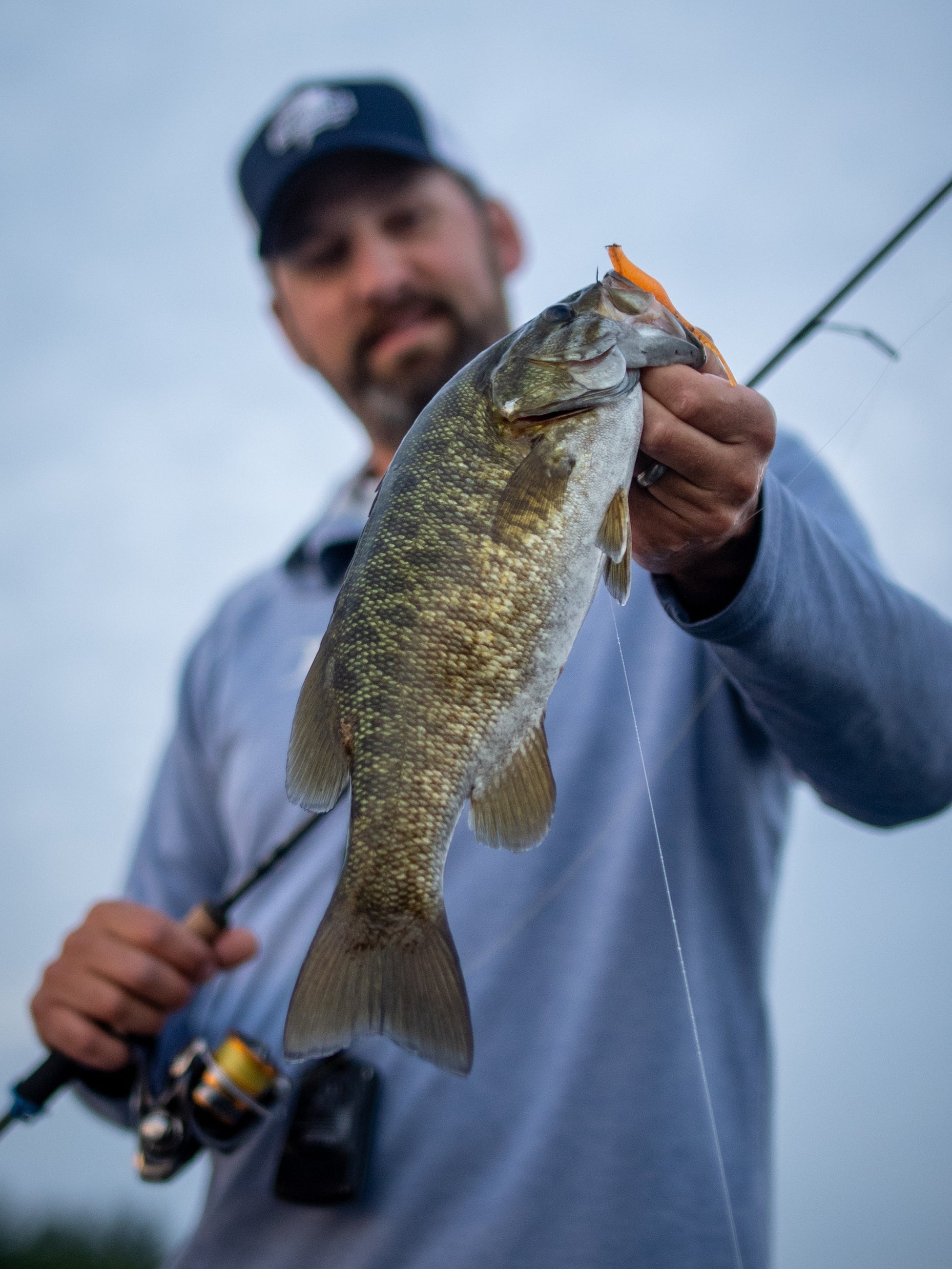 Avid Series – St. Croix Rod